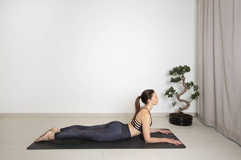 Sphinx Yoga Pose Guide For Everyone - Yoga Poses 4 You